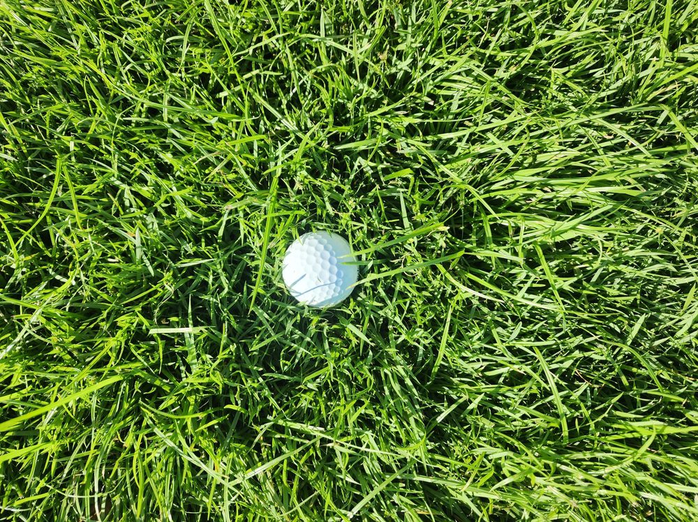 Paige Spiranac revealed one horrifying truth about the price of fame after golf scandal ...